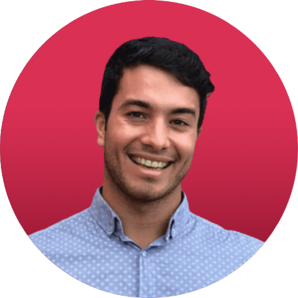 Seasoned Team of eCommerce Marketing Specialists | LION Digital